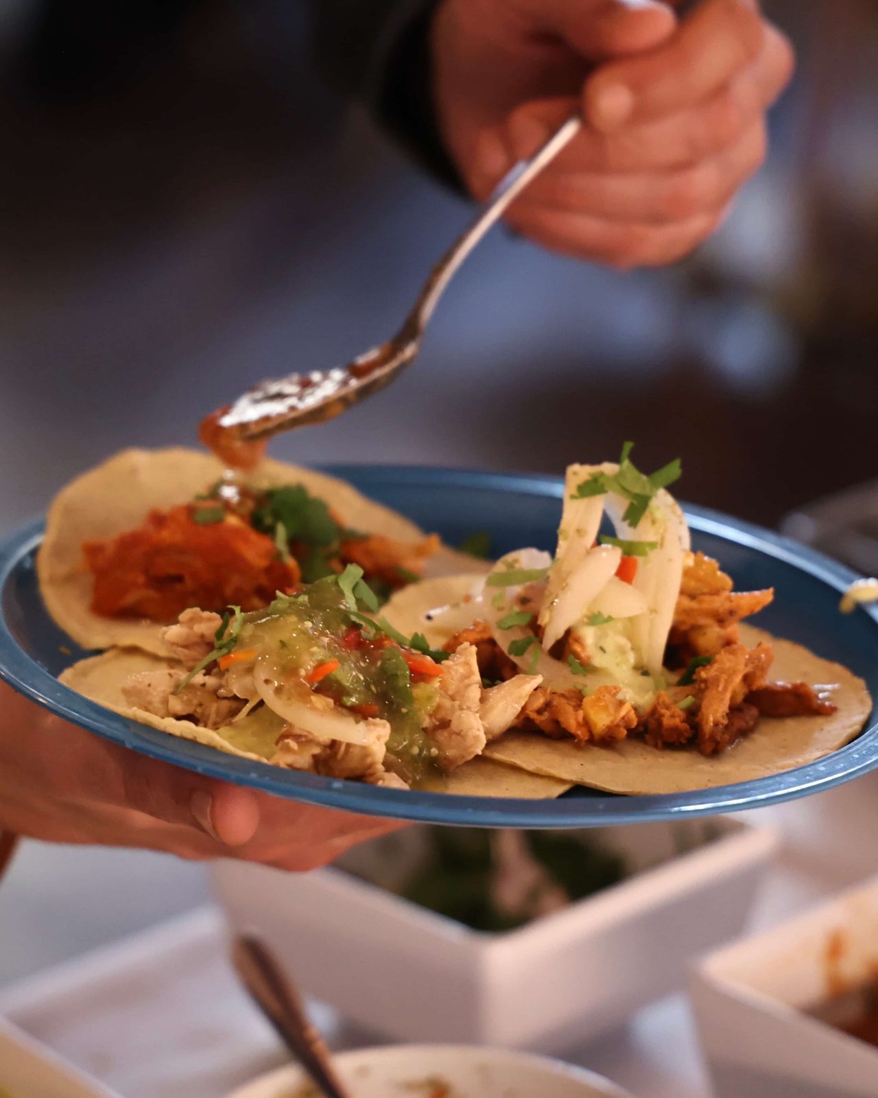 Taco & Tequila Tuesdays - Mestizo Restaurant and Margarita Bar